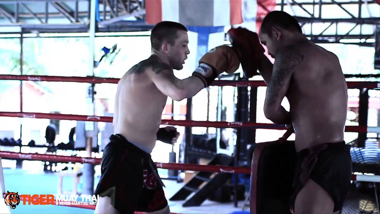 "MMA Is My Saviour", Cody "The Wolverine" Stevens @ Tiger Muay Thai ...