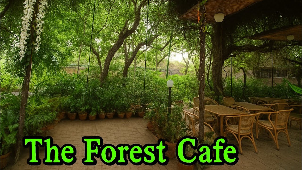 The Forest Cafe | Karachi Zoo 2024 - YouTube