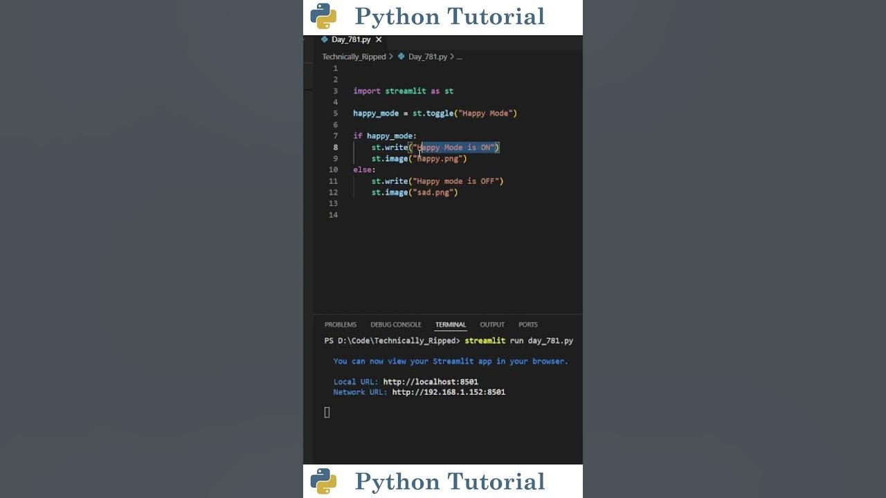 Create Interactive Toggles in Streamlit | Python Tutorial - YouTube