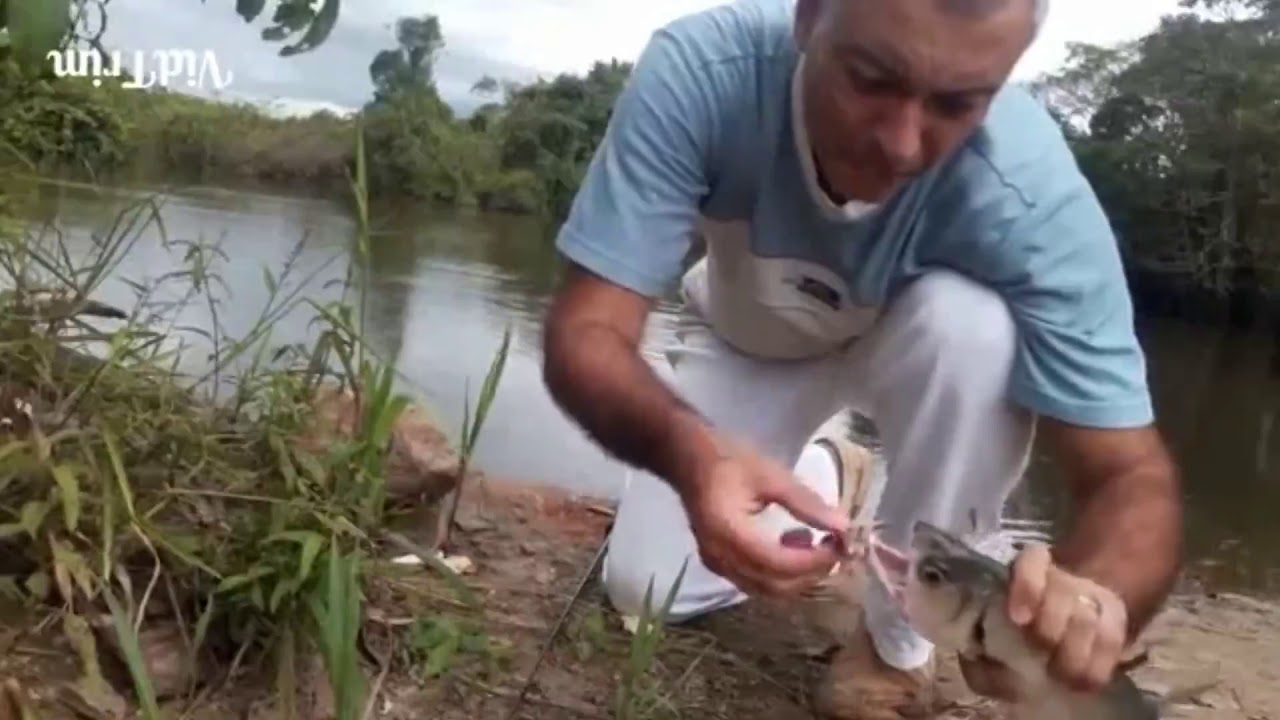 PESCARIA COM DIREITO A BANDO DE QUATIS - YouTube
