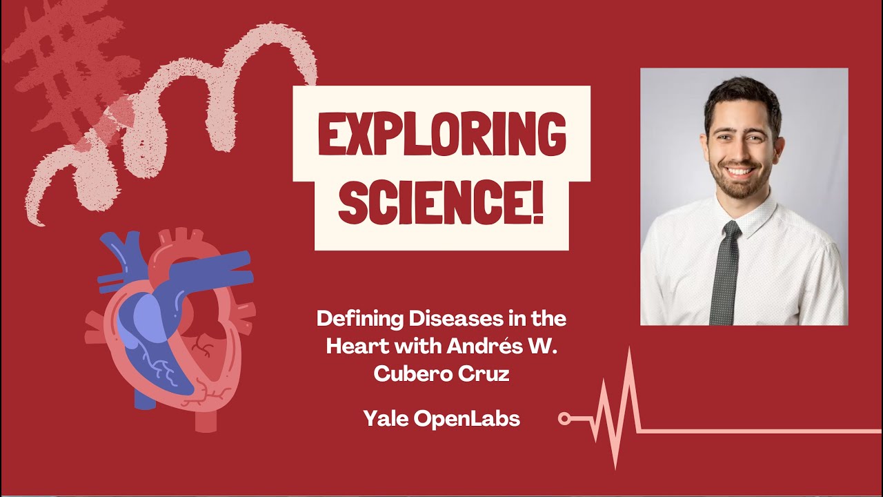 Defining Diseases in the Heart with Andrés W. Cubero Cruz - YouTube