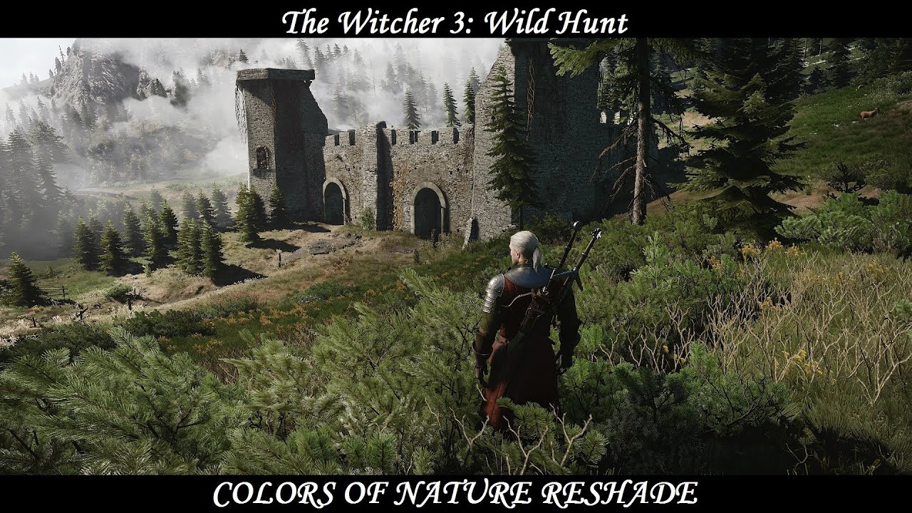 The Witcher 3: Wild Hunt - Colors of Nature Reshade - YouTube