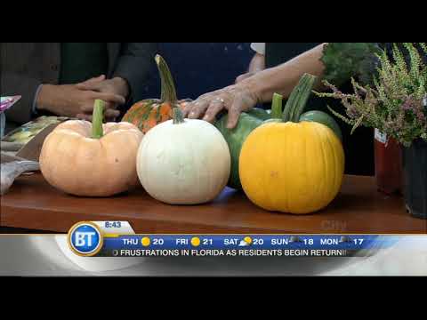 Brian Minter’s Fall Gardening and Planting Guide - YouTube