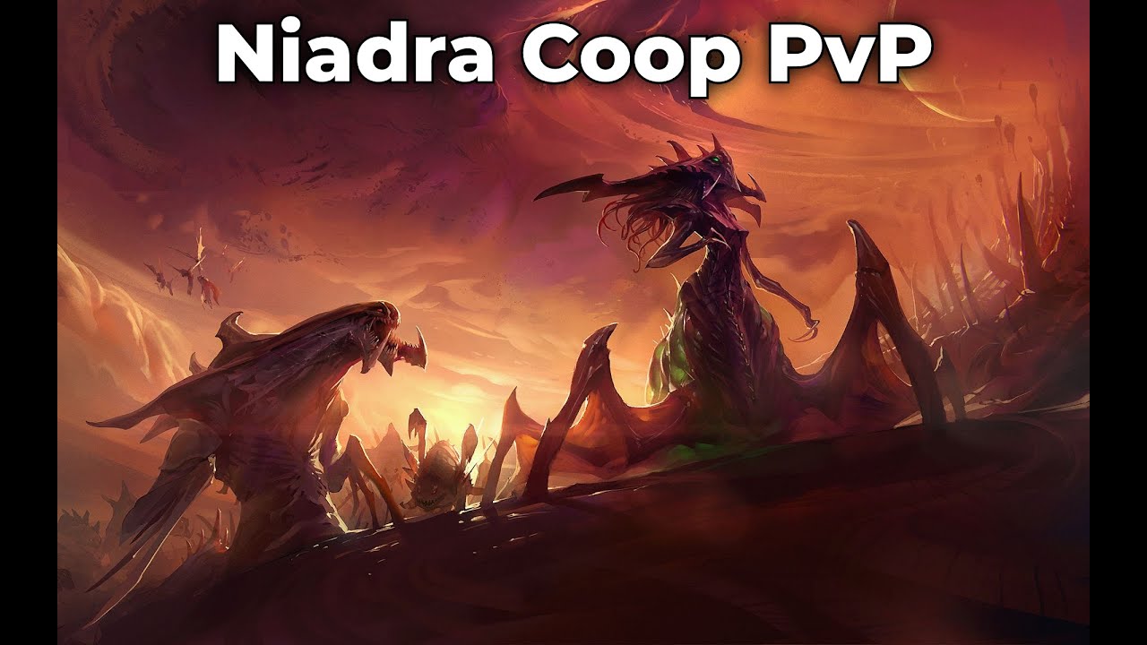 Niadra Coop PvP - Arcade Showcase - YouTube
