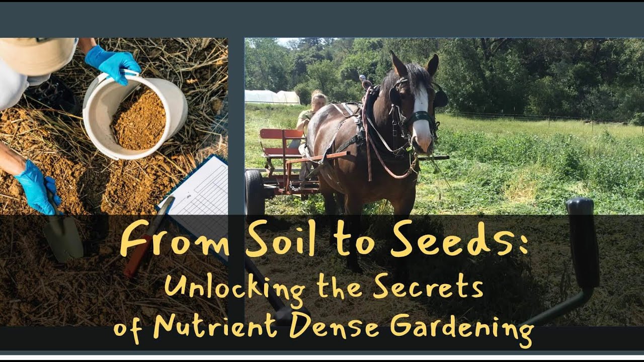 From Soil to Seeds: Unlocking the Secrets of Nutrient Dense Gardening ...