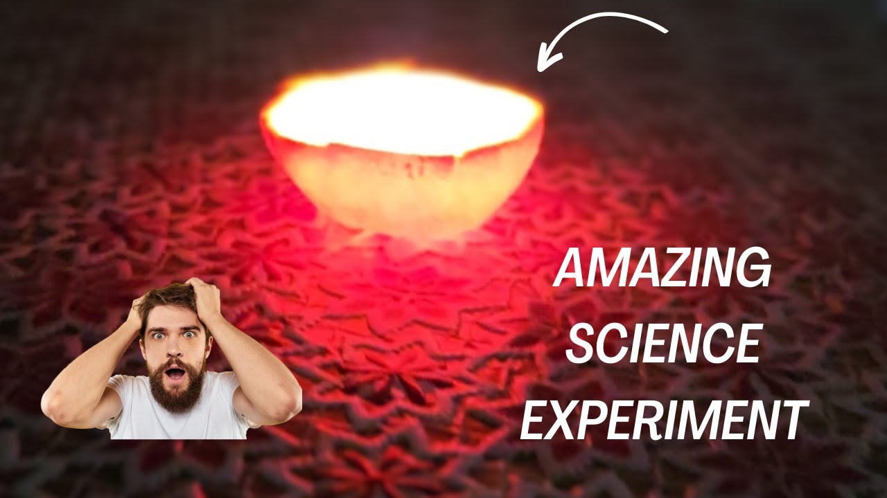 Amazing science experiment |orange Peel with decoration |decoration for ...