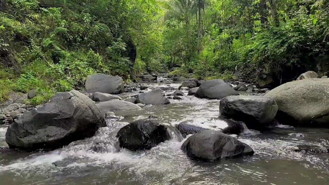 Peaceful Mountain Stream Sounds | Relaxing Nature Ambience for Sleep ...