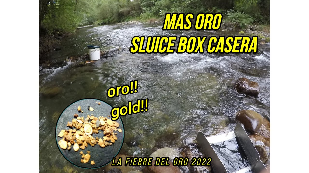 ORO con SLUICE BOX CASERA!! LA FIEBRE DEL ORO 2022 - YouTube