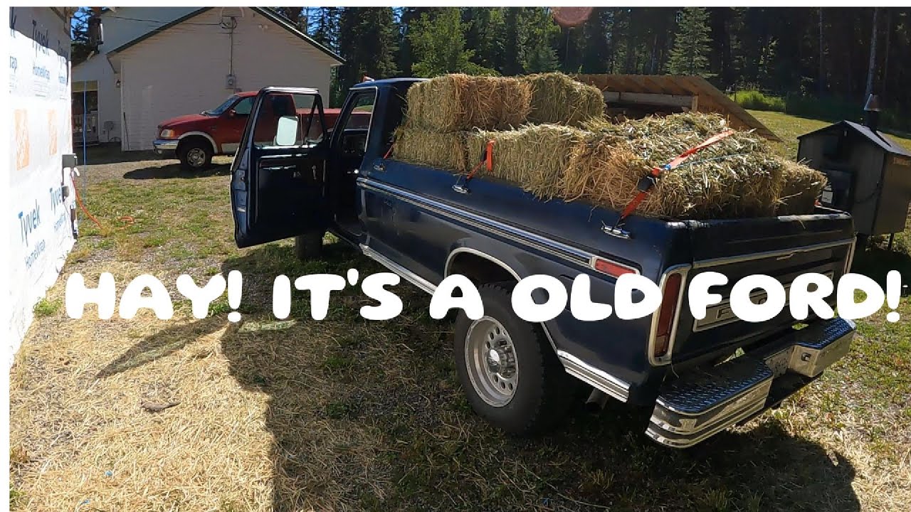 Hay Delivery. Why I use my classic truck for Farm Work - YouTube