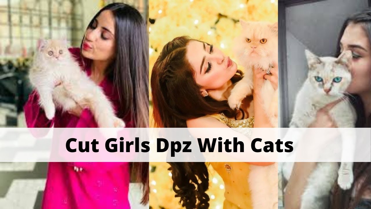 Dpz |cat |dp girls | Cute baby cats| Kittens cute cute girls |dpz with ...