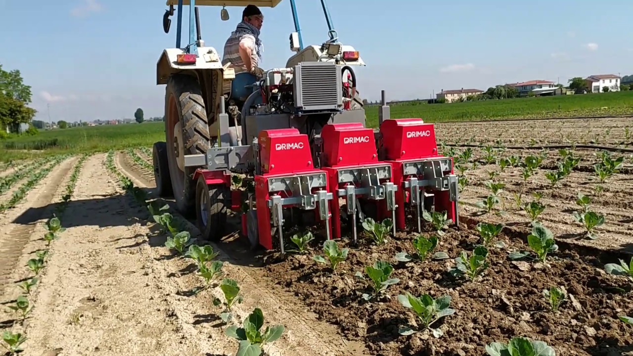 ZIP.03 DRIMAC automatic weeding machine - YouTube