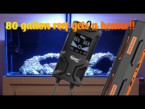 80-gallon budget reef get a new heater! Hygger! - YouTube