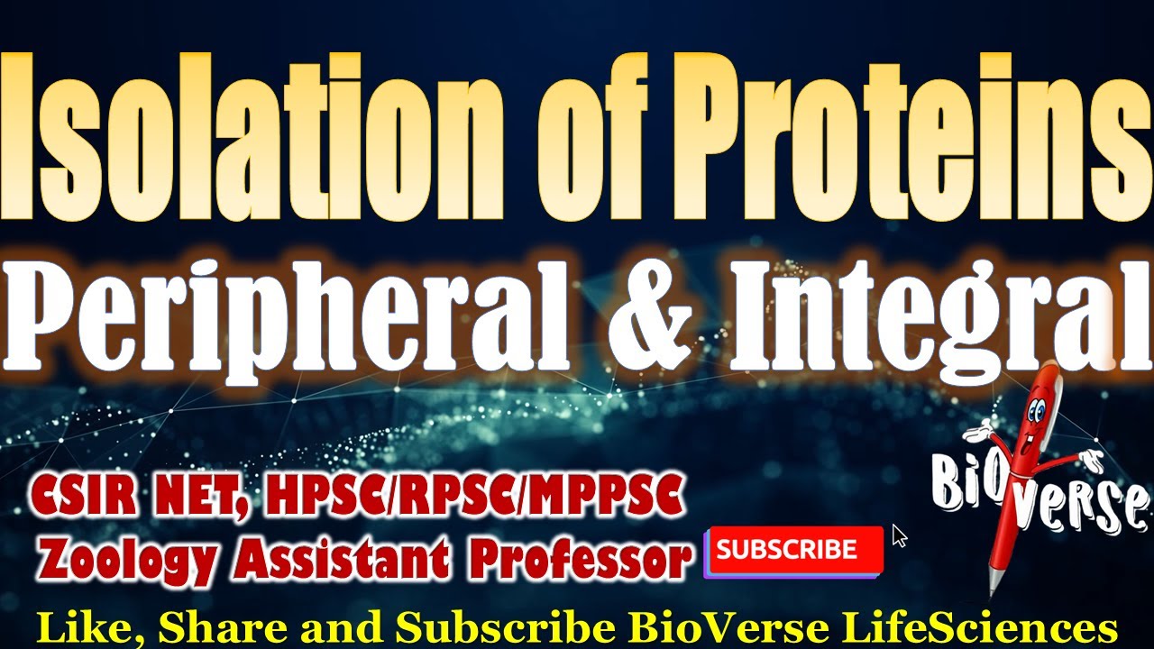 Isolation of Peripheral and Integral Proteins || Cell membrane ...