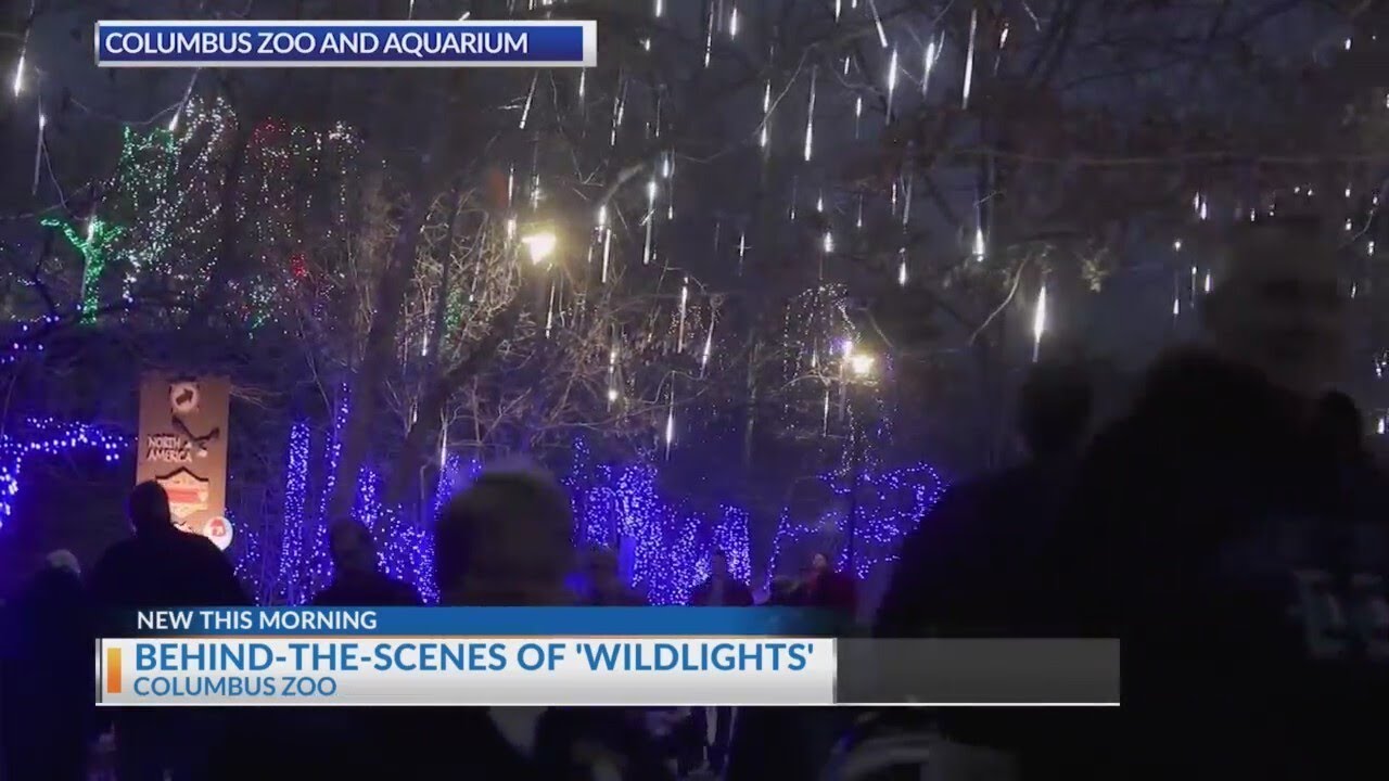 Behind the scenes of Wildlights at the Columbus Zoo - YouTube