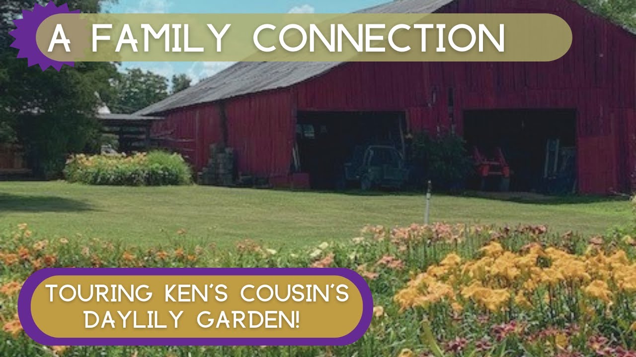 MEMORY LANE | Tour Ken's cousin's daylily garden - YouTube