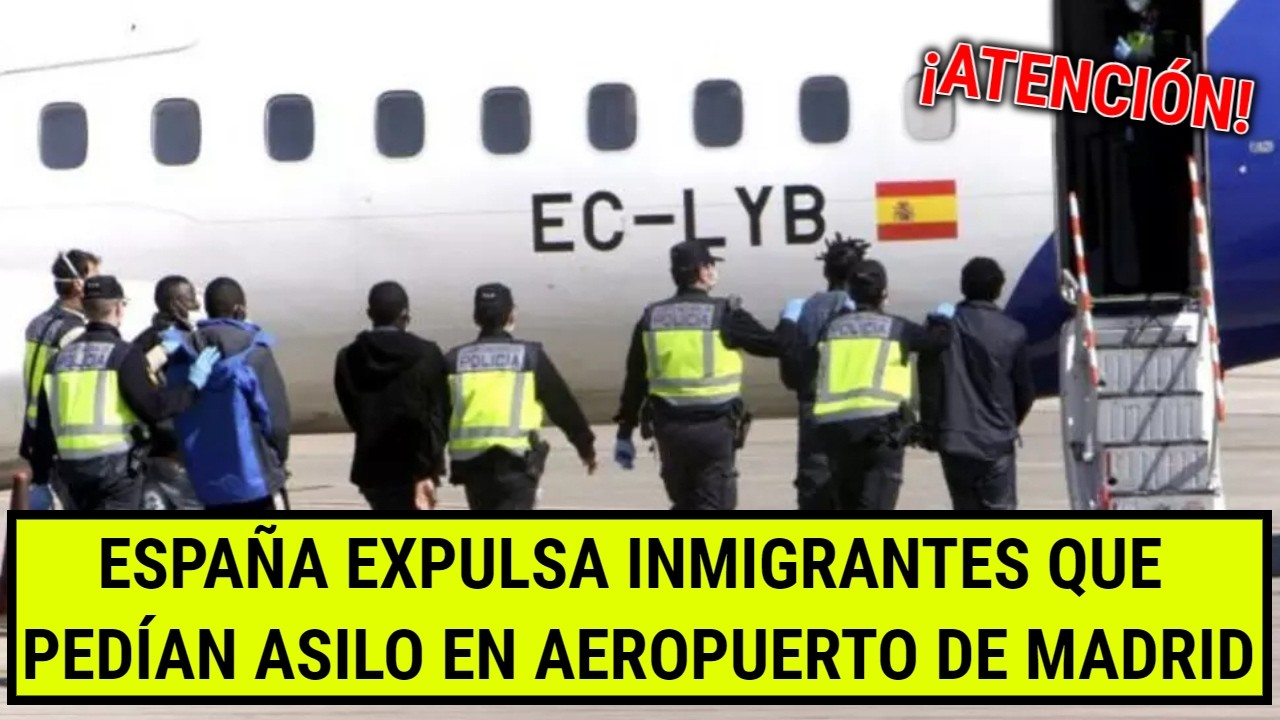 EXPULSADOS de ESPAÑA Cerca de 40 SOLICITANTES DE ASILO - YouTube