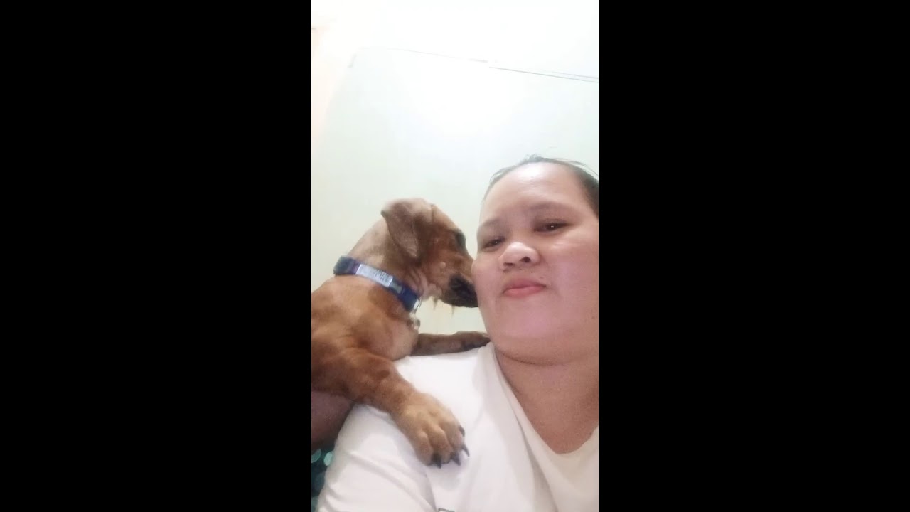 Ang Aking Aso | ireneayrosavlog - YouTube