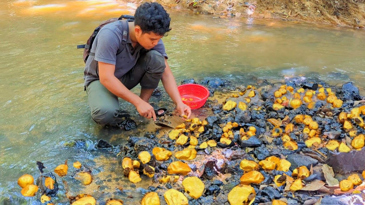 Day 5, Digging for gold in the middle of the forest through to the ...