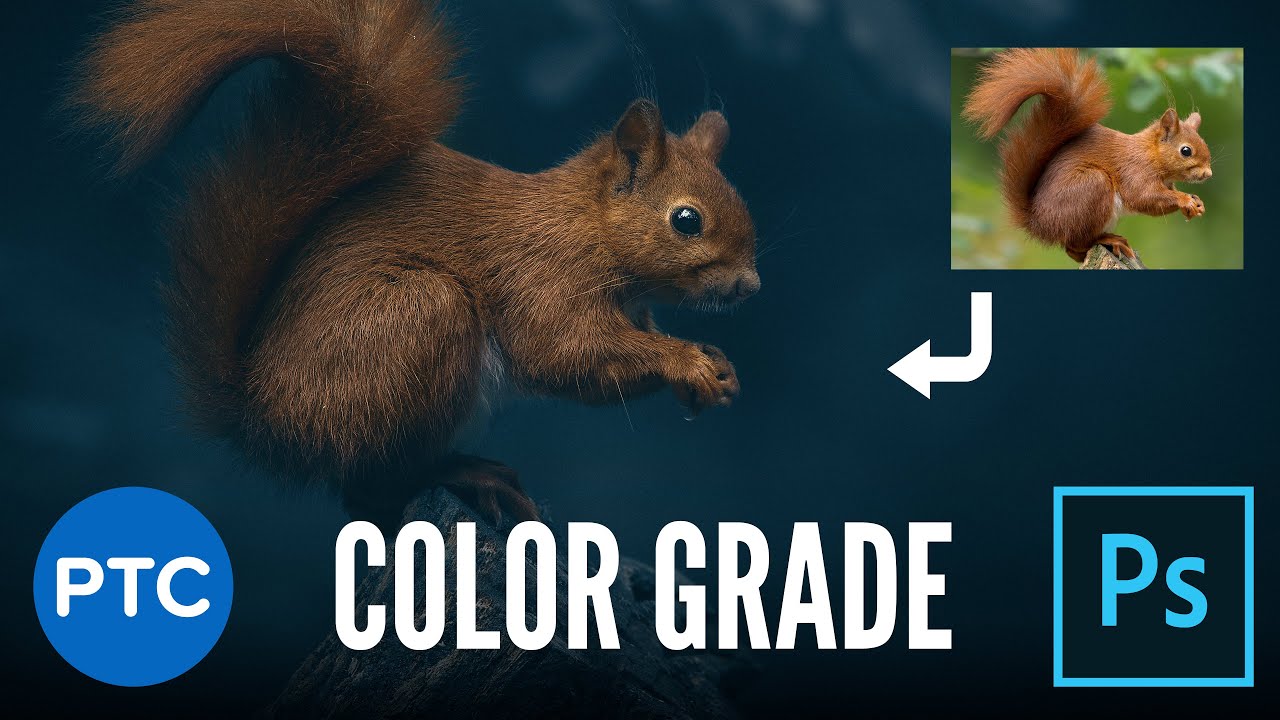 Apply a Trendy Moody Color Grade in Photoshop [Also Works with ...