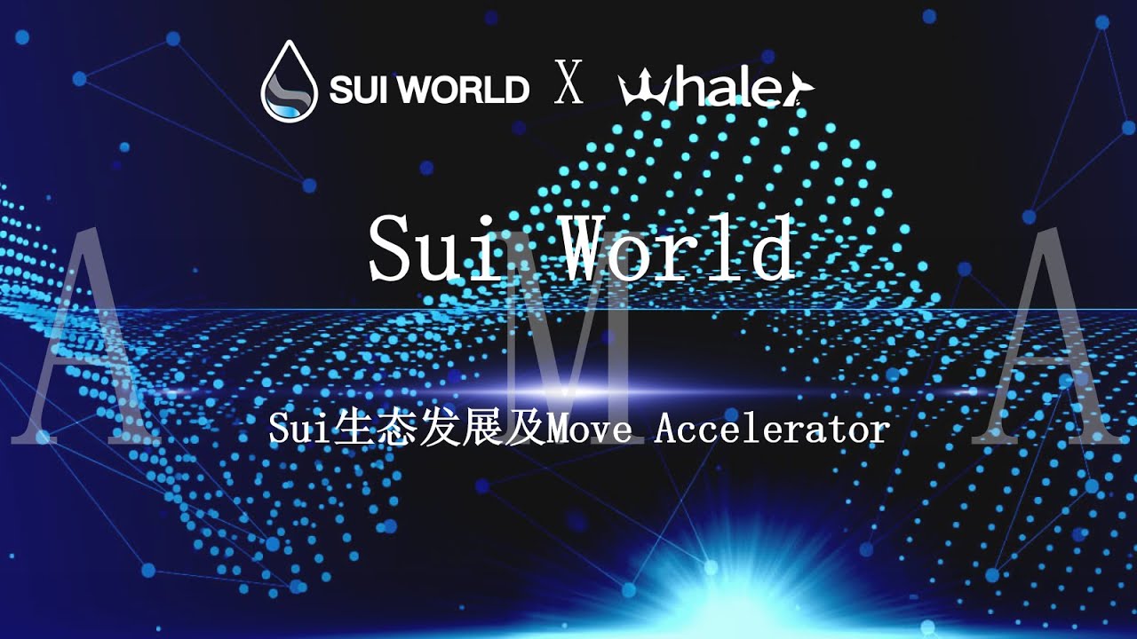 Sui World: Sui生态发展及Move Accelerator - YouTube