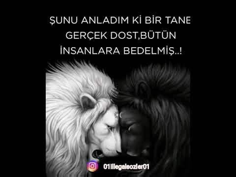 KRAL SÖZLER (ABONE OLMAYI UNUTMAYIN)