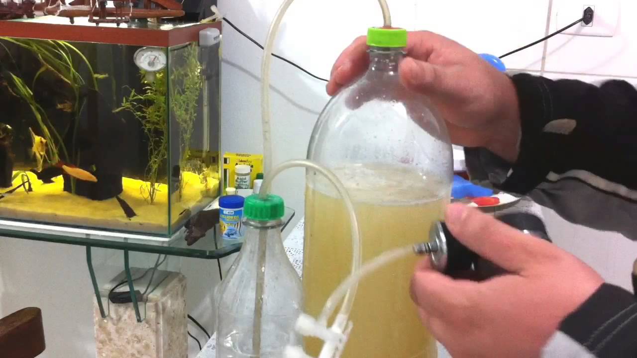 CO2 CASEIRO dia de reposição !!!! - YouTube