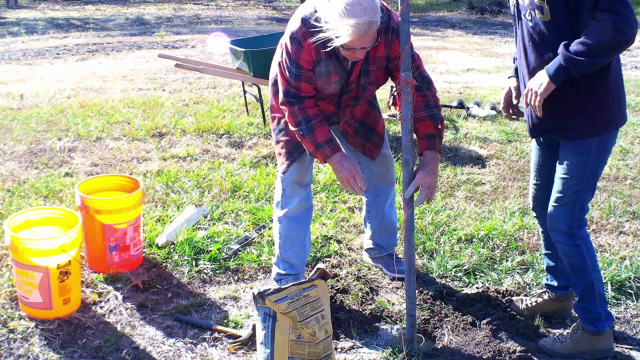 DIY building a Hawk perch - YouTube
