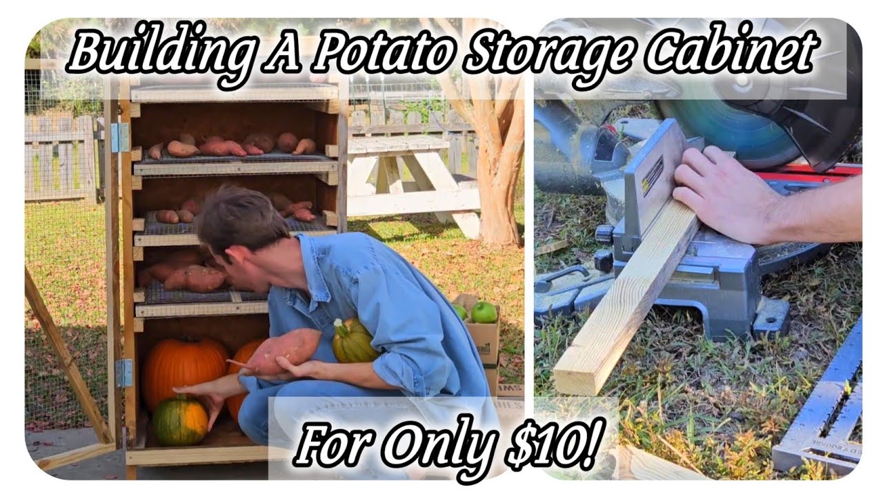 Building Potato Storage Cabinets (For Only $10 Dollars!) @joshdeputy ...