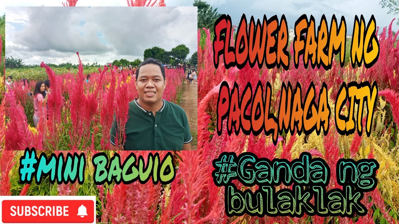 Flower Farm ng Pacol,Naga City (Mini Baguio ng Naga) Vlog#13 Part 1 ...
