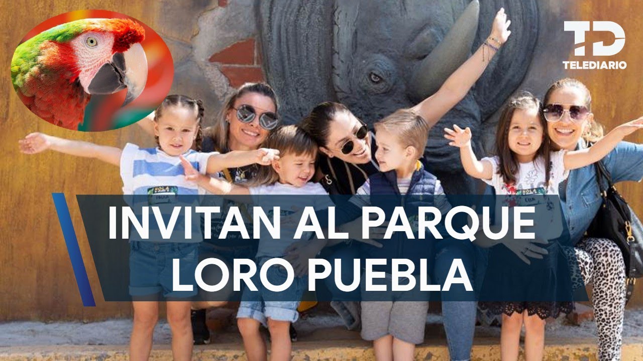 Parque Loro Puebla; el lugar que acerca a los niños a la naturaleza ...