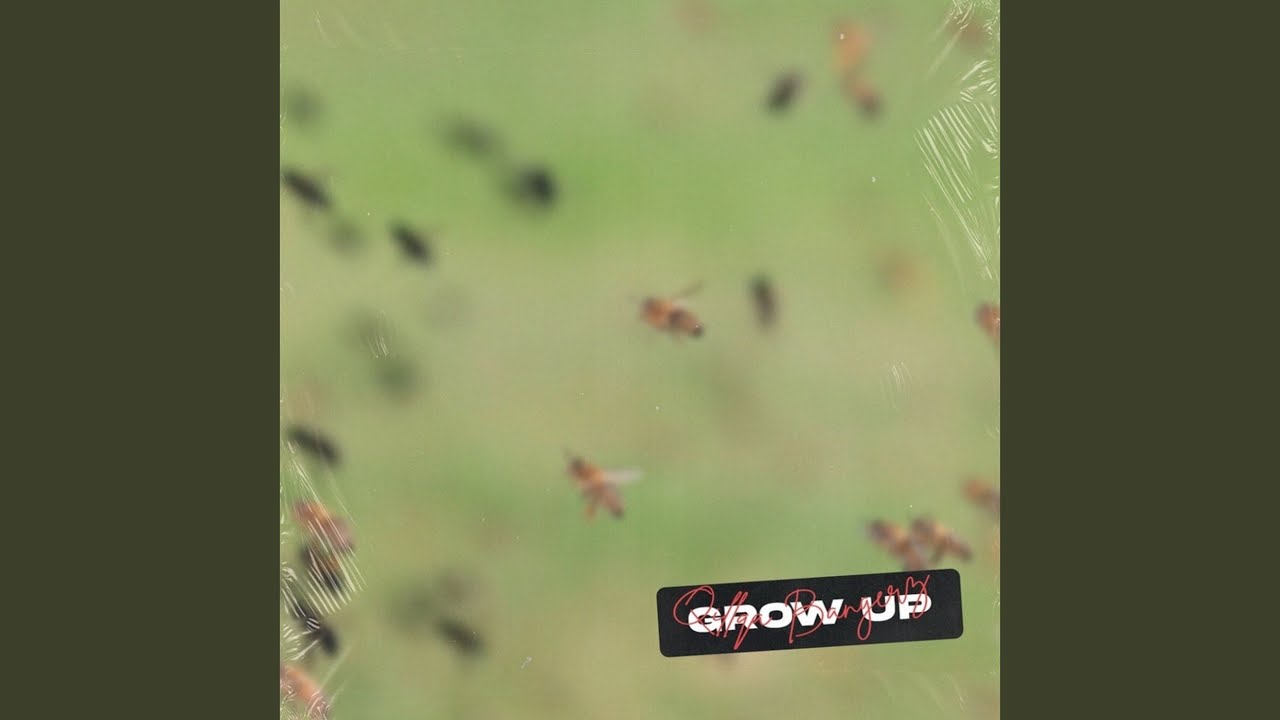 Grow up - YouTube