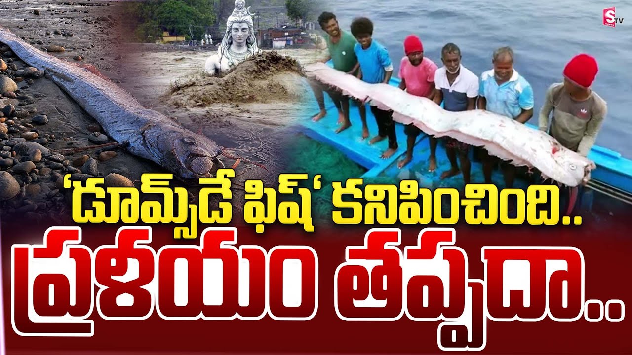 'Earth in Danger' : “Doomsday Fish” Spotted in Tamil Nadu | Warning of ...