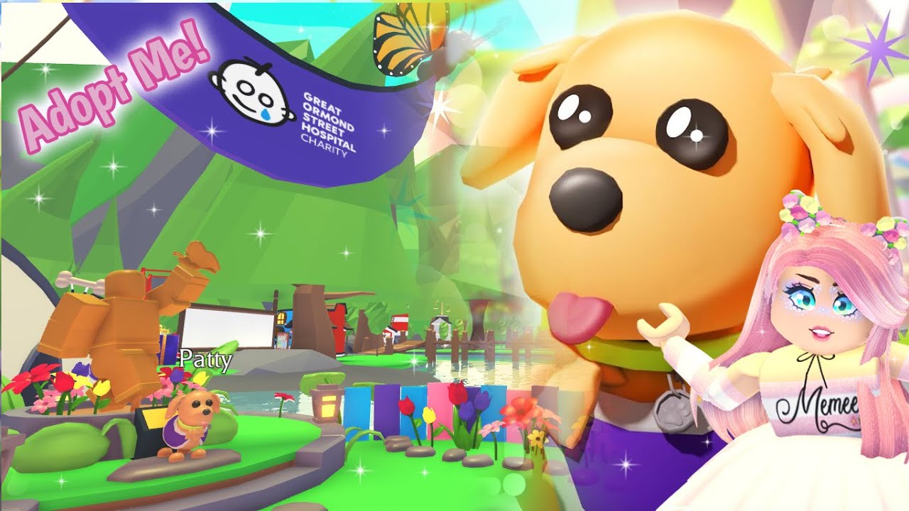 Getting my first therapy dog Great Ormond St Hospital Charity Adopt Me ...