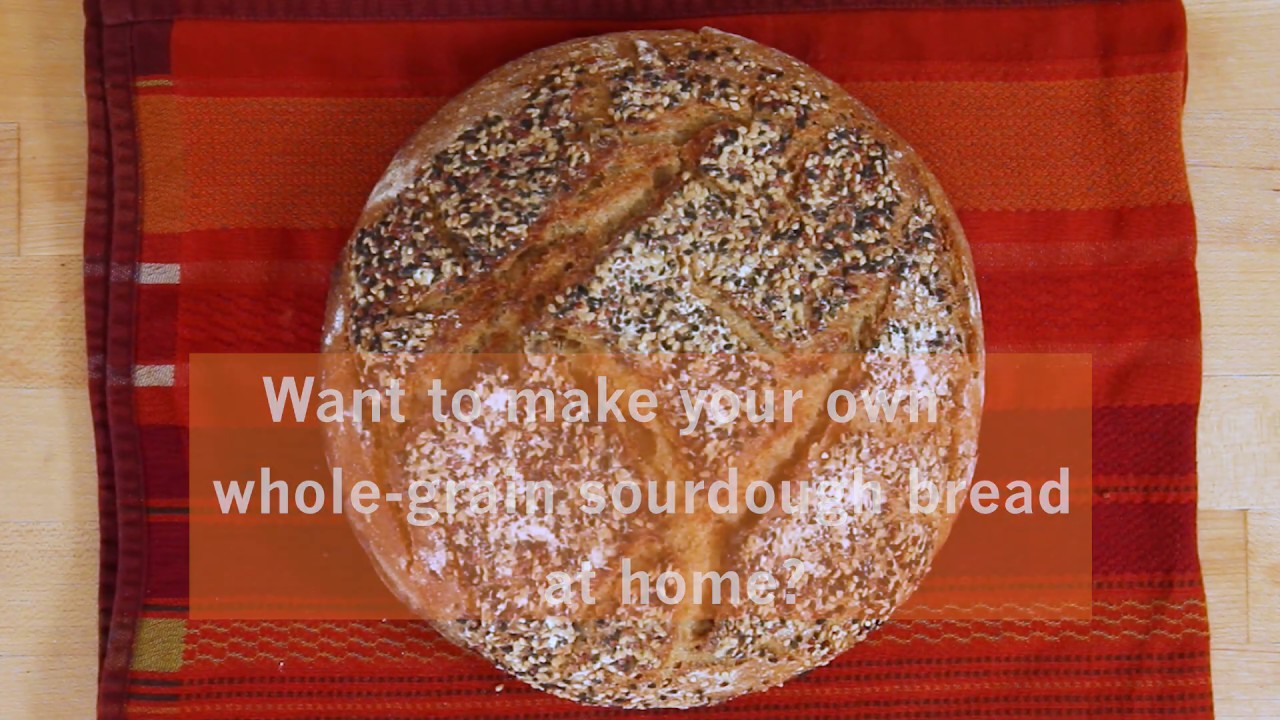 Sourdough on the Rise - YouTube