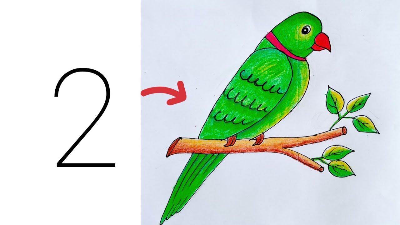 Parrot Drawing|| How to Draw a Parrot|| Easy Bird Drawing - YouTube