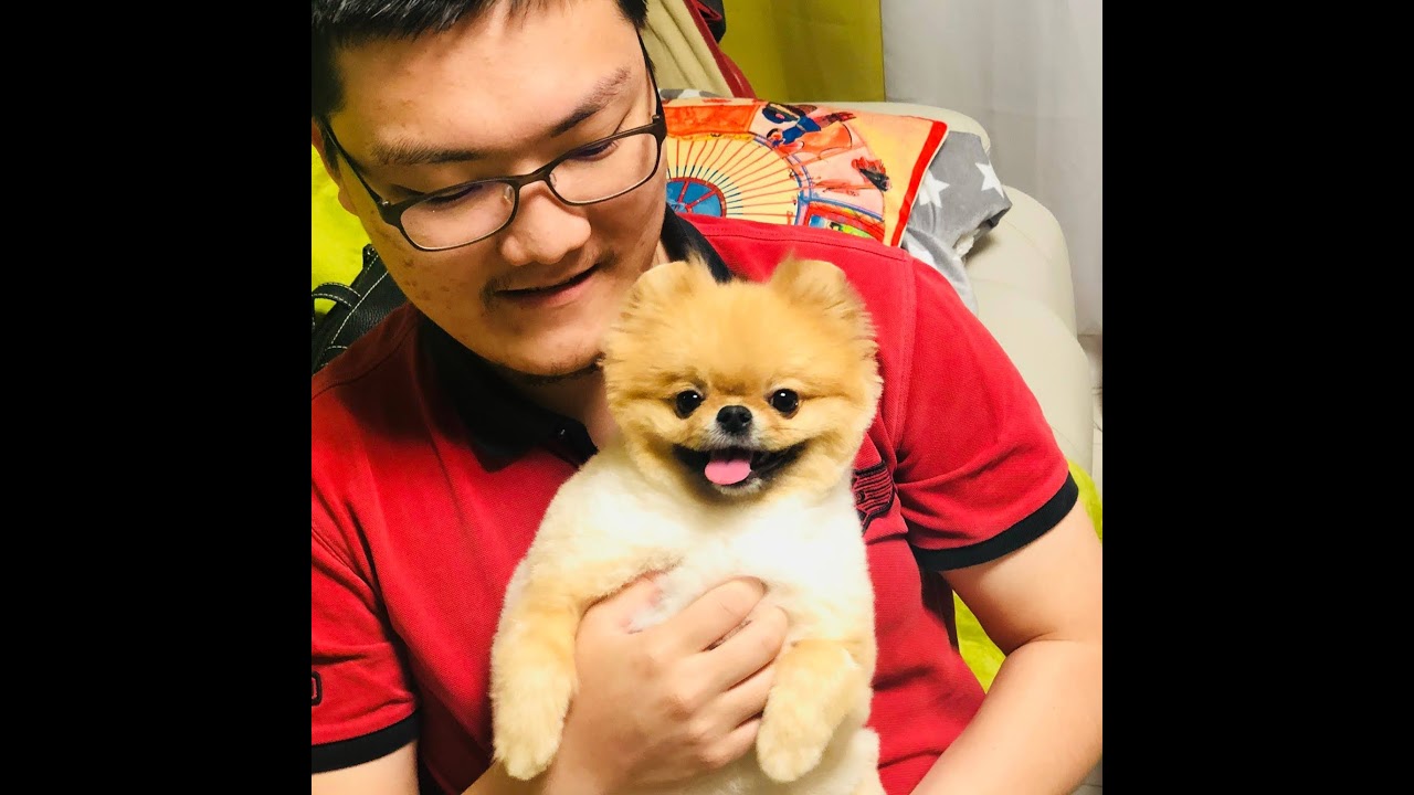 Dulguun Batmunkh Live Stream - YouTube