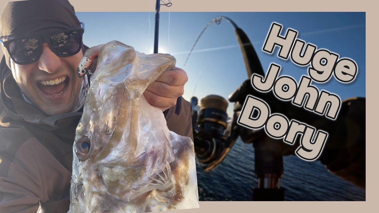 Huge John Dory from the shore - YouTube