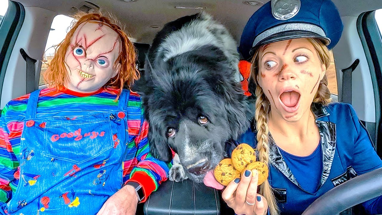 Chucky SURPRISES Police Chucky and Puppy with Car Ride Chase! - YouTube