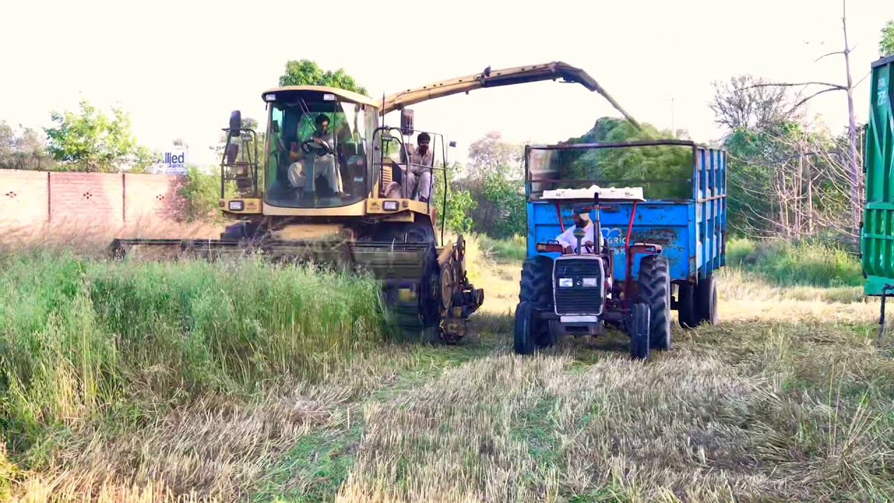 Oat silage Harvesting in Pakistan - YouTube