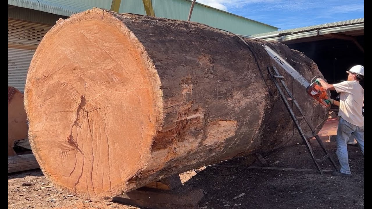 Great Dangerous Skills Giant Wood Cutting Fastest | Woodworking Factory ...