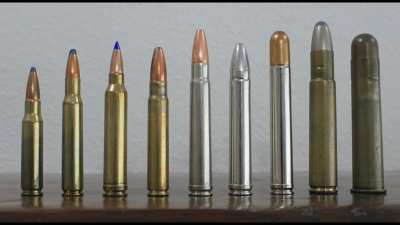 Africa Hunting Bullets 101 With Kevin Robertson - YouTube