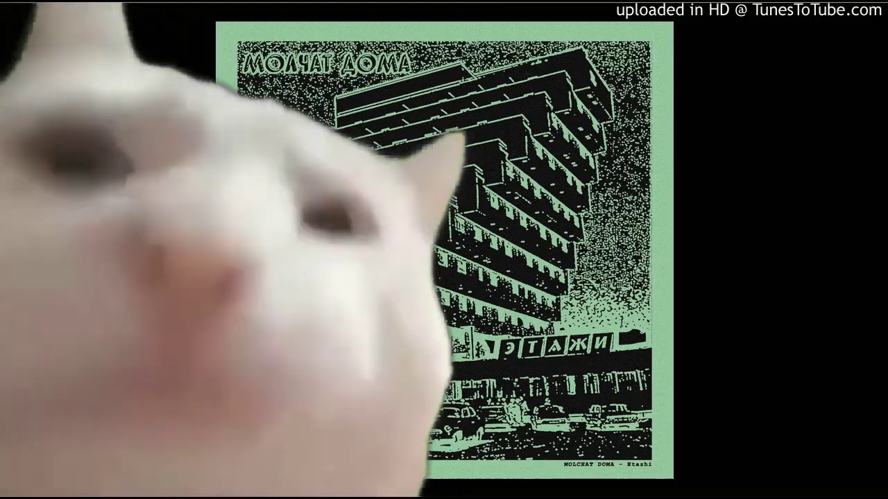 Cat vibing to Молчат Дома (Molchat Doma) - YouTube