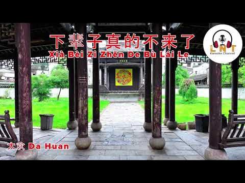 下辈子真的不来了 Xià Bèi Zi Zhēn De Bù Lái Le 大欢 DA HUAN V0cal - YouTube