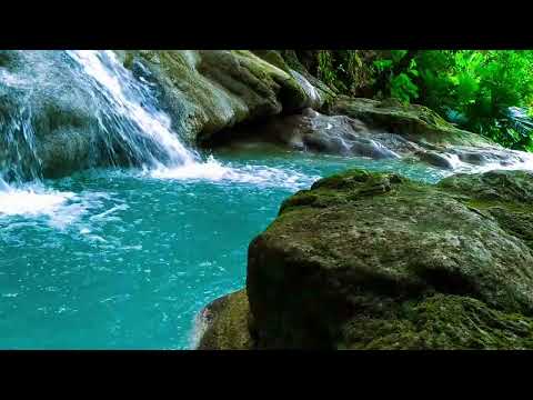 Relaxing Calm River Water Flow For Sleeping, Birds Song. Relaxing Nature Sound 24/7