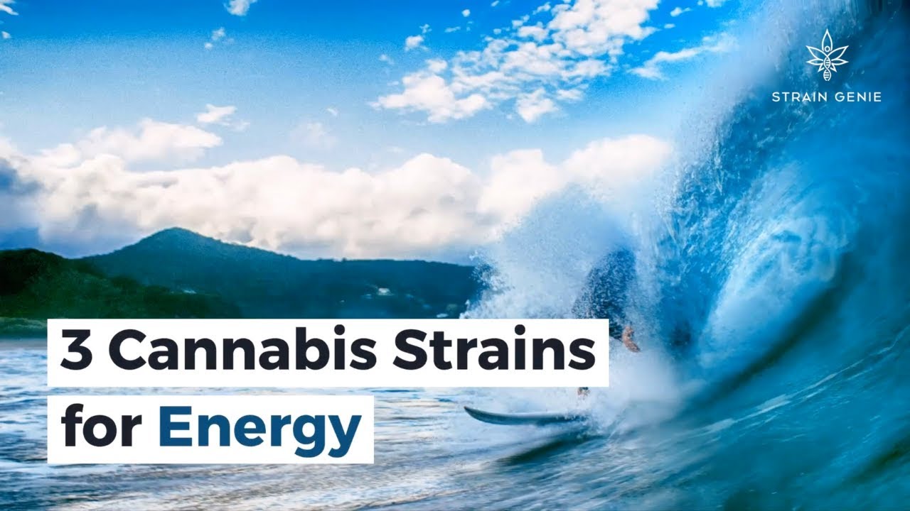 3 Cannabis Strains for Energy - YouTube