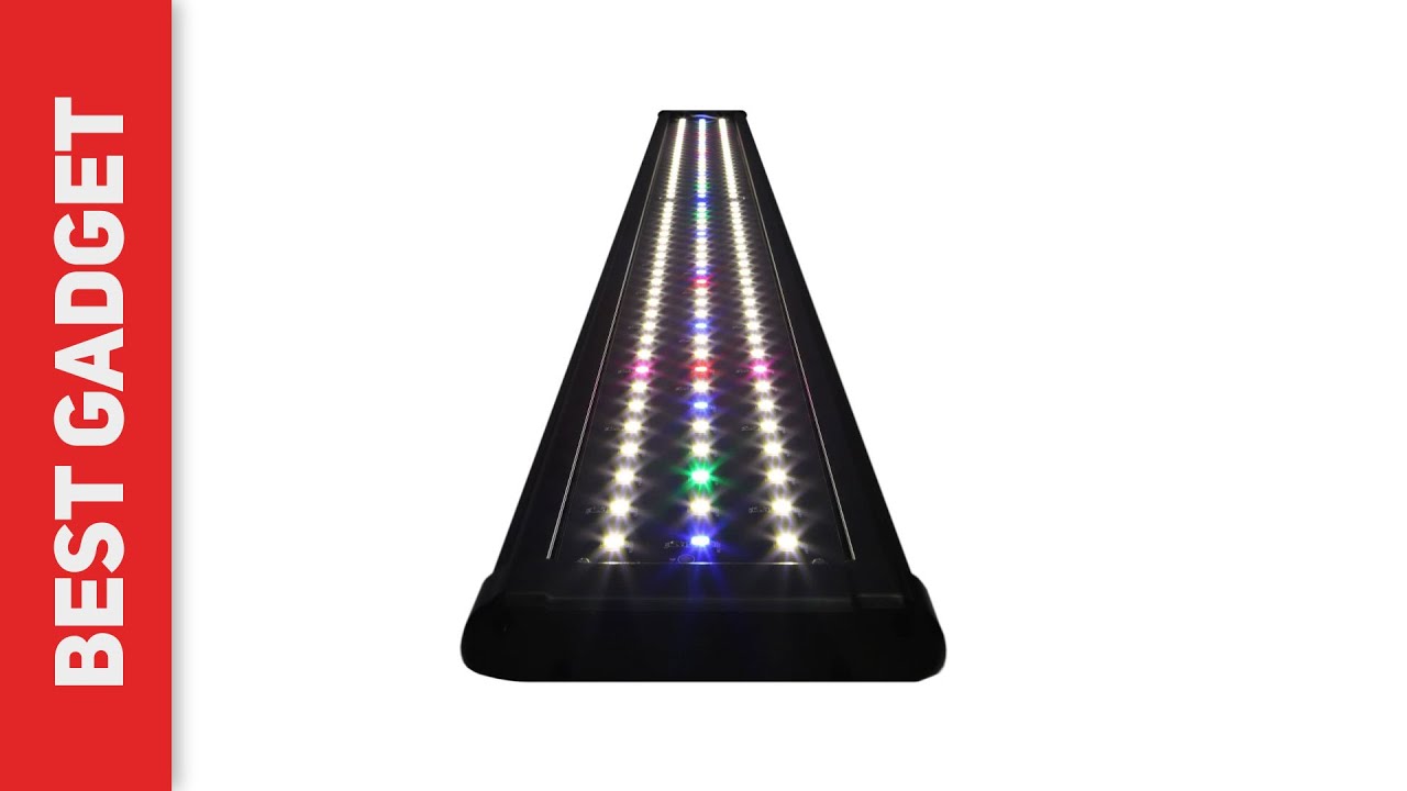 Koval Aquarium Lighting - Best Underwater Aquarium Lights Review - YouTube