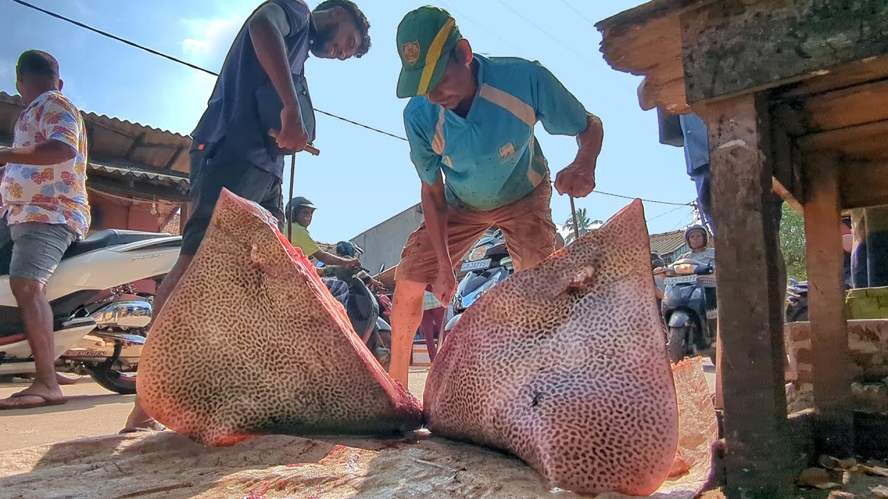 Massive Tiger🐅🐅 Stingray Cut Open in a Village Street Fish Market - YouTube