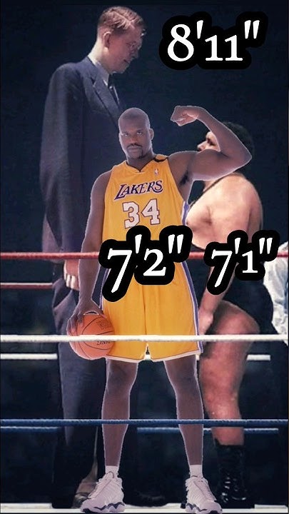 SHAQUILLE O'NEIL ANDRE THE GIANT & ROBERT WADLOW FACE TO FACE #shorts - YouTube