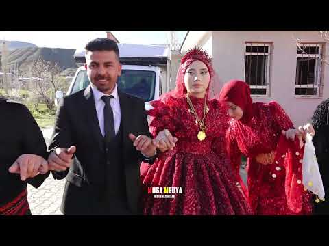 Ezgi & Ömer’ın Kına gecesi Çayarasi köyü kaızman/kars Zilan müzik kaızman düğünleri #Musa_Medya