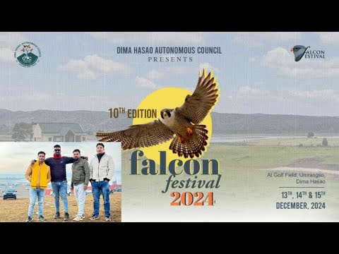 Falcon Festival 2024 #falcon #nuakhalibabu - YouTube